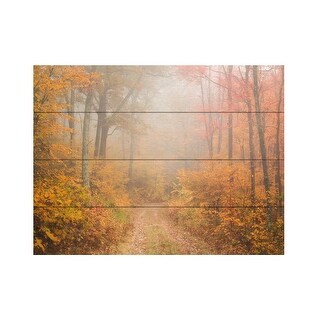 Patrick Zephyr 'Passing Through The Path' Wood Slat Art - Bed Bath ...