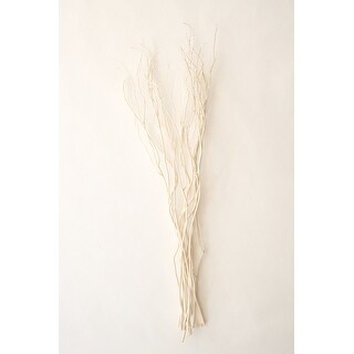 Curly Willow white, 3-4ft tall,12stems - 45 - Bed Bath & Beyond - 34716234
