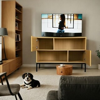 44 in. Modern Decorative Storage Cabinet for Living Room, Dining Room ...