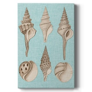 Sepia & Aqua Shells II Premium Gallery Wrapped Canvas - Ready to Hang ...