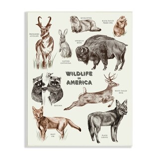 Stupell Wildlife In America Various Animals Detailed Illustrations ...