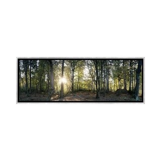 iCanvas "Trees in a forestBlack Forest, Freiburg im Breisgau, Baden ...