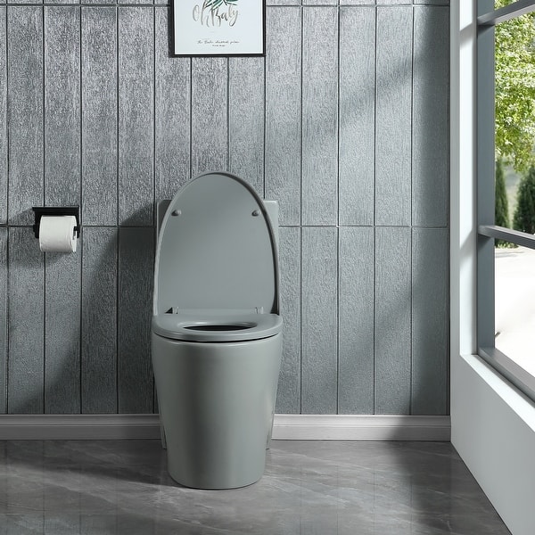 Light Grey Dual Flush 1-Piece Elongated Toilet with Soft-Close Seat ...