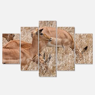 Designart 'Grants Gazelles Grazing in Grassland' Modern Animal Metal ...