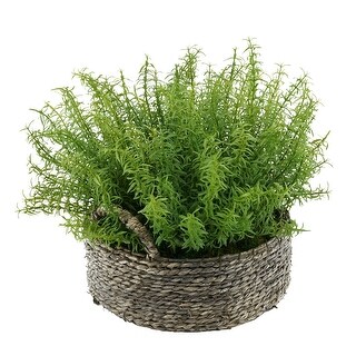 Faux Rosemary Grass in Small Seagrass Tray Basket - Bed Bath & Beyond ...
