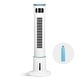 Mist Tower Fan, 12 Speeds & 3 Modes Settings Standing Fan , 15 Hour ...