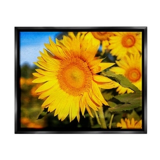 Stupell Country Sunflower Photography Framed Floater Canvas Wall Art ...