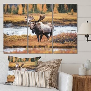Designart "Moose In Alaska Scenery I" Animals Canvas Prints Set - Bed ...