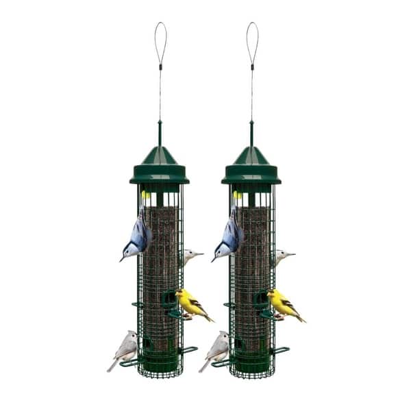 Brome Squirrel Buster Classic Squirrel-Proof Bird Feeder (2-Pack) - Bed ...
