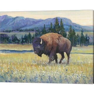 Timothy O'Toole 'Animals of the West II' Canvas Art - Bed Bath & Beyond ...