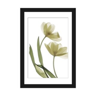 iCanvas "X-Ray Tulip I" by Judy Stalus - Bed Bath & Beyond - 37388804