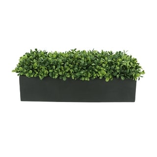 UV Rated Outdoor Boxwoods Arranged in a Rectangular Planter - Green ...