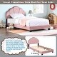 Pink Shell Headboard Twin Size Frame Wood Slat Base Support Bed Low ...