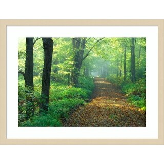 First Light by Patrick Zephyr Wood Framed Wall Art Print - Bed Bath ...