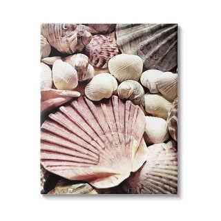 Stupell Stacked Coastal Seashells Canvas Wall Art by Ashley Aldridge ...