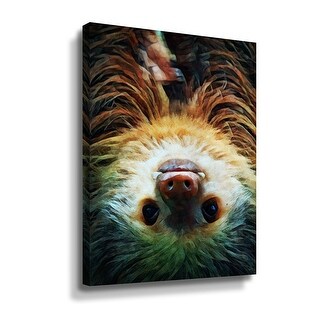 Hoffmann's Two-Toed Sloth Swing Gallery Wrapped Canvas - Bed Bath ...