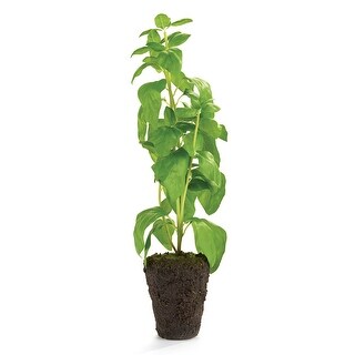 Basil Drop-in Faux (Fake) 18" Artificial Herb Drop-In - Bed Bath ...