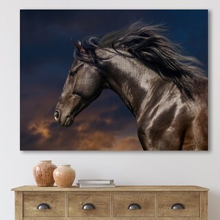 Designart "Portrait Of Thoroughbred Nonius Stallion Horse III ...