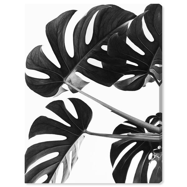 black and white plant wall art