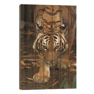 Malayan Tiger, Native To Malaysia Print On Wood by ZSSD - Multi-Color ...