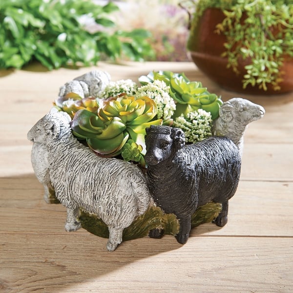 Art & Artifact Ring of Sheep Planter - 4 White, 1 Black Sheep Cast ...