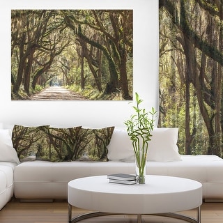 Designart "Trees Tunnel in Botany Bay" Landscape Print Wall Art - Bed ...