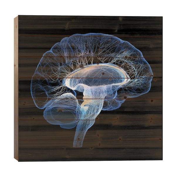 Human Brain Illustrated With Interconnected Small Nerves Print On Wood ...