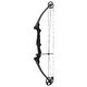 Genesis Archery Original Bow (LH, Black) with 6 NASP Arrows and Case ...
