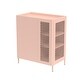 2 Door Steel Pink Storage Cabinet, Accent Storage Locker with Six ...