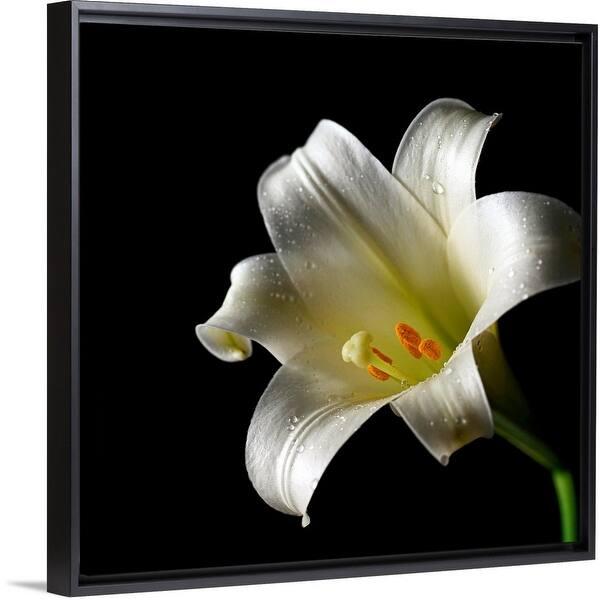 easter lily frame
