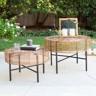Mellie Contemporary Natural Woven Fiber Tables (Set of 2) by Havenside ...