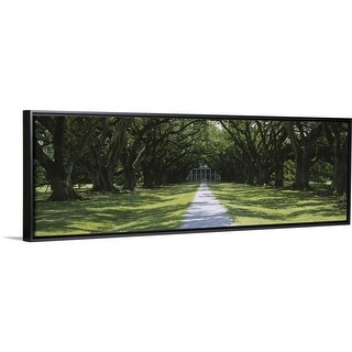 "Trees Oak Alley Plantation LA" Black Float Frame Canvas Art - Bed Bath ...
