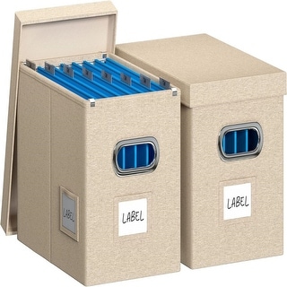 Hanging File Box with Lid (14x9.3x10.9 inch) - Bed Bath & Beyond - 39426925