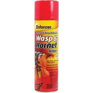 Enforcer 16 Oz. Liquid Aerosol Spray Wasp & Hornet Killer - 1 Each - 16 ...