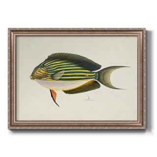 Tropical Fish Collection I Premium Framed Canvas- Ready to Hang - Bed ...