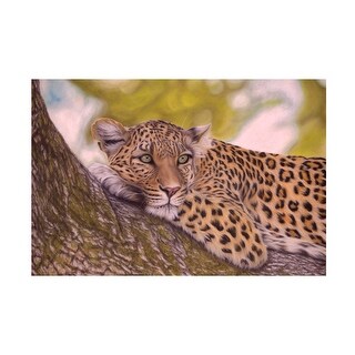 Steve Crockett 'Relaxing Leopard' Canvas Art - Bed Bath & Beyond - 39504887