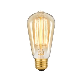 ST58 Vintage Edison Bulb 40W/60W - Bed Bath & Beyond - 40278779