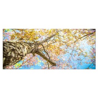 Designart 'Under Branch of Yellow Cherry Tree' Photography Trees Metal ...