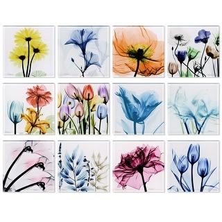 Super White Glass Coasters with Cork Bottom - set of 12 florals - Bed ...