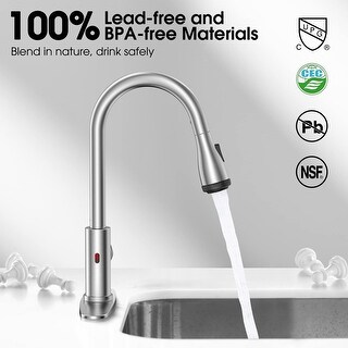 Touchless Kitchen Faucet Pull Down Kitchen Sprayer with Dual Temp ...