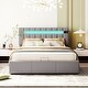 Upholstered Bed Queen Size with LED light, Bluetooth Player and USB ...