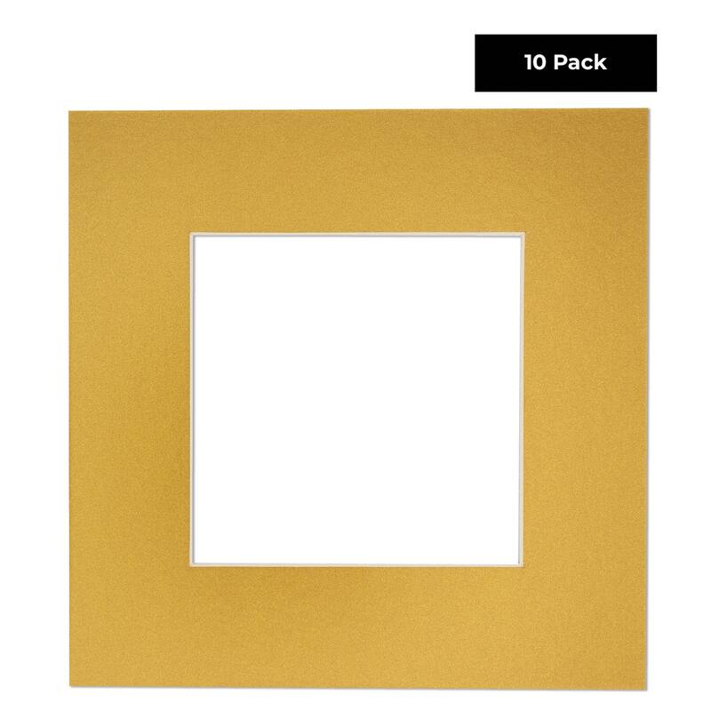Pack of TEN 8.5x11 Mats Bevel Cut for 5x6 Photos - Acid Free Metallic ...