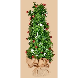 21" Snowy Boxwood and Bell Tree in Burlap Base - Bed Bath & Beyond ...