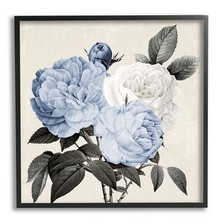 Stupell Antique Blue Rose Blooms Framed Giclee Art Design by Kelly ...