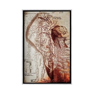 iCanvas "Victorian Anatomy" by Unknown Artist Framed - Bed Bath ...