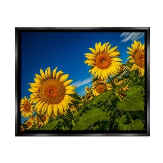 Stupell Gorgeous Sunflower Field Summery Blue Clouds Sky Floater Frame ...