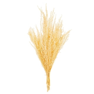 Vickerman 18" Natural Dried Bleached Stoebe Bunch, 2.5 oz. - Bed Bath ...