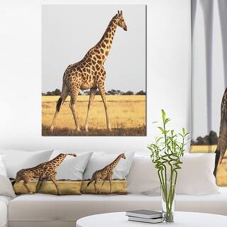 Designart "Single Giraffe in Africa Walking" Extra Large African Art ...