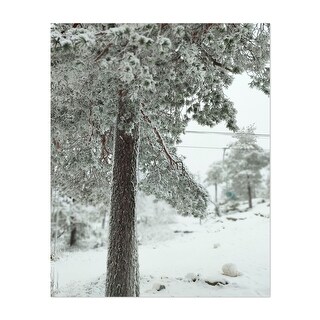 Lapland Finland Snowy winter nature jpg Photography Art Print/Poster ...