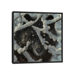 iCanvas "Winter's Black Wolf - Square" by Collin Bogle Framed Canvas ...